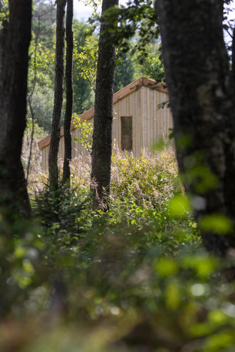 Klooga Kosk - kogukonna parvsaun Klooga järvel